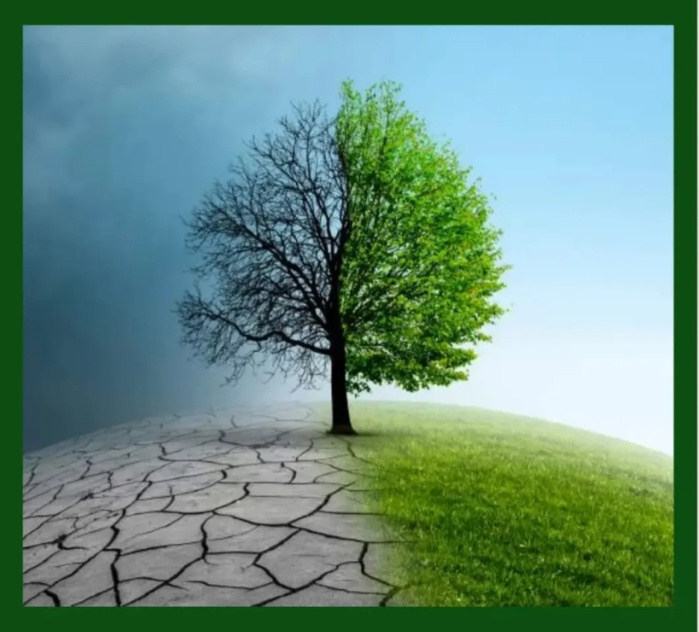 Sezonske promene: kako utiču na naše emocionalno blagostanje ...